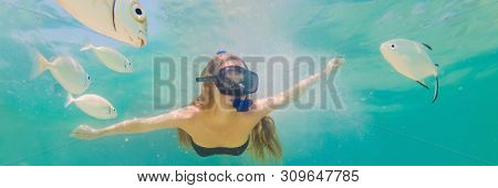 Woman Diving Into Water Images, Illustrations & Vectors (Free) - Bigstock