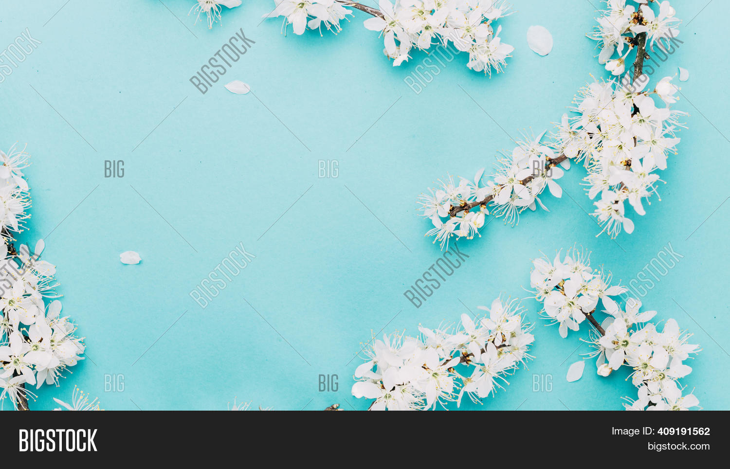 Sakura Background Image & Photo (Free Trial) | Bigstock