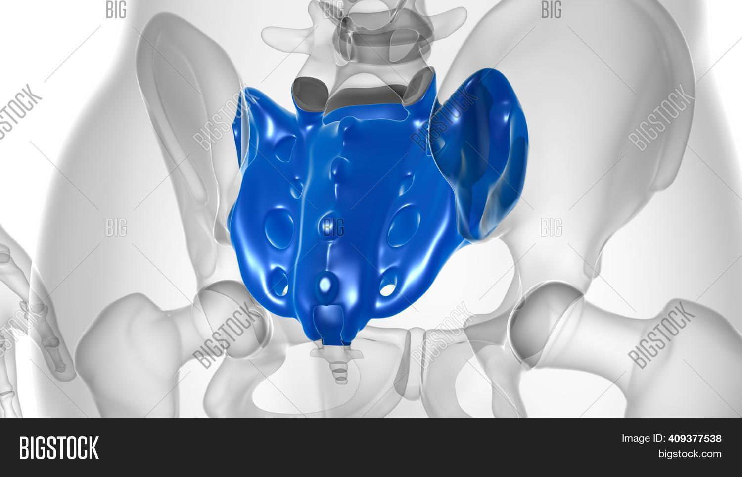 ภาพและภาพถ่าย (ทดลองใช้ฟรี) | Bigstock