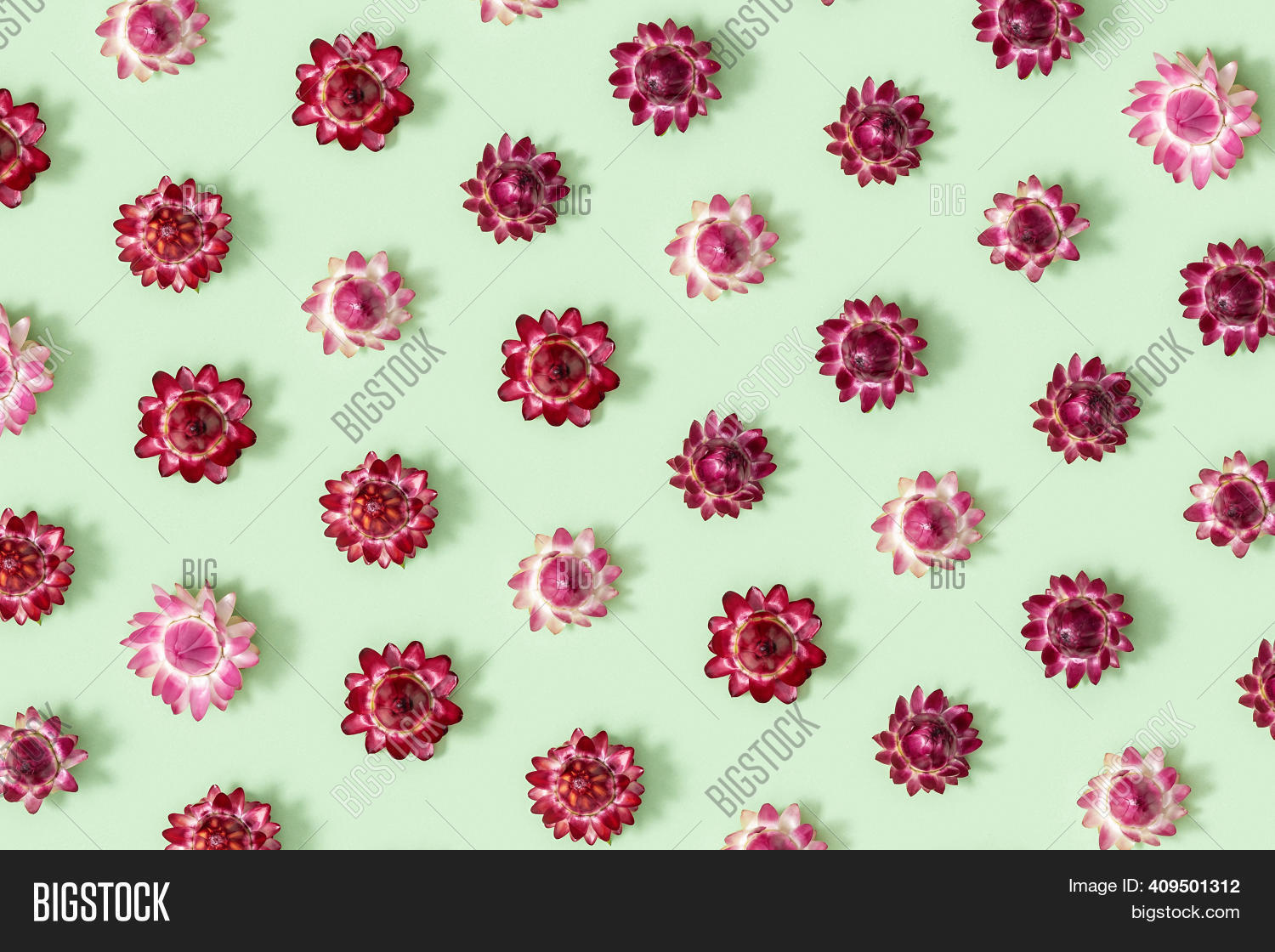Delicate Dry Flowers, Image & Photo (Free Trial) | Bigstock