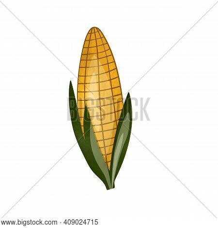 Sweet Golden Corn Vector & Photo (Free Trial) | Bigstock