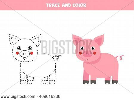 Trace Color Cute Pig Vector & Photo (Free Trial) | Bigstock