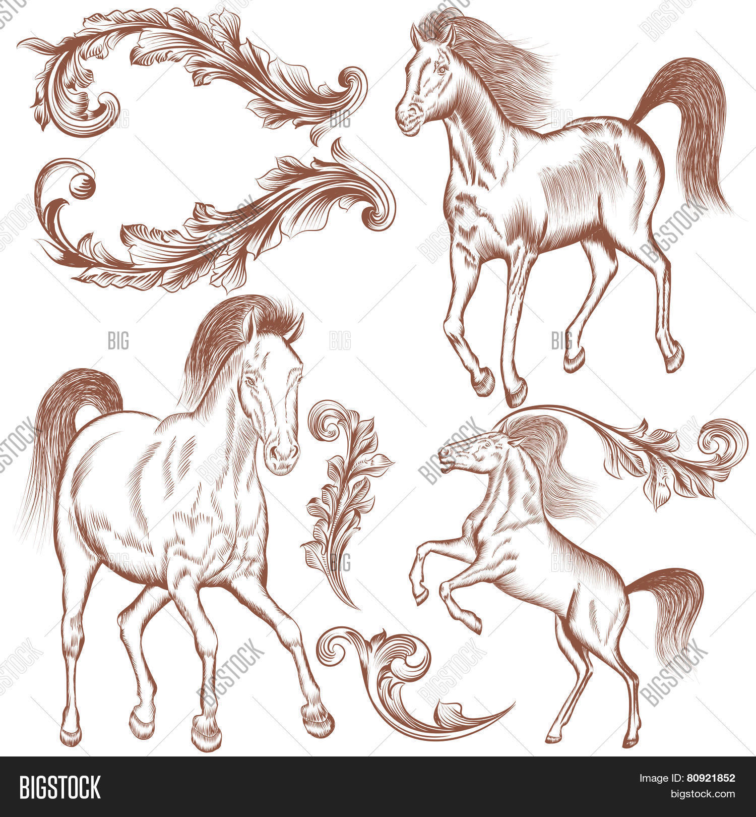 Collection Vector Vector & Photo (Free Trial) | Bigstock