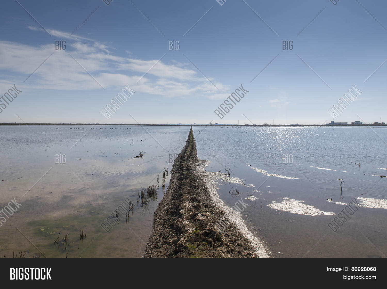 Dividing Line Horizon Image & Photo (Free Trial) | Bigstock