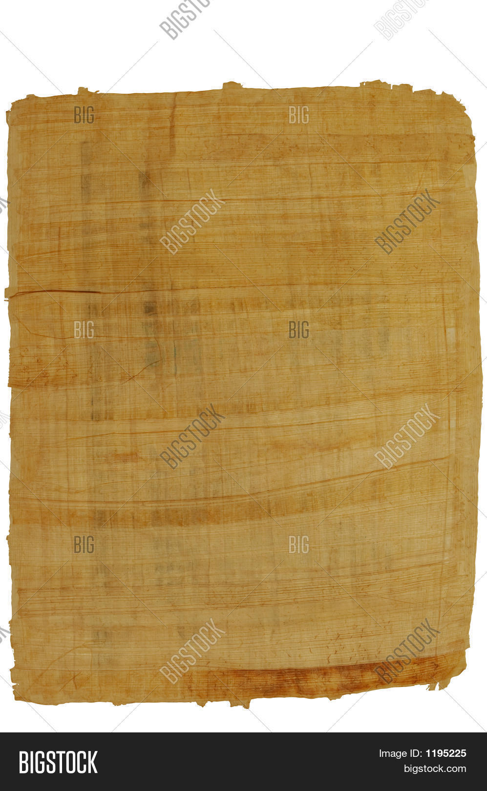 Papyrus Paper Image & Photo (Free Trial) | Bigstock