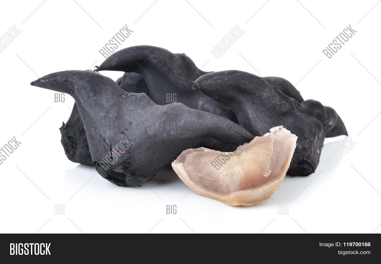 Water Caltrops, Trapa Image & Photo (Free Trial) | Bigstock