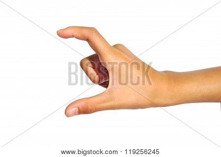 Hand Showing Medium Image & Photo (Free Trial) | Bigstock