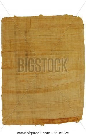 Papyrus Paper Image & Photo (Free Trial) | Bigstock