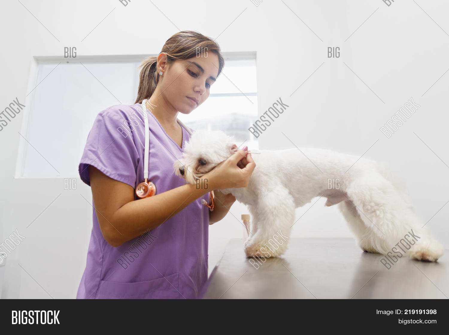 Clinic Staff Woman Image & Photo (Free Trial) | Bigstock