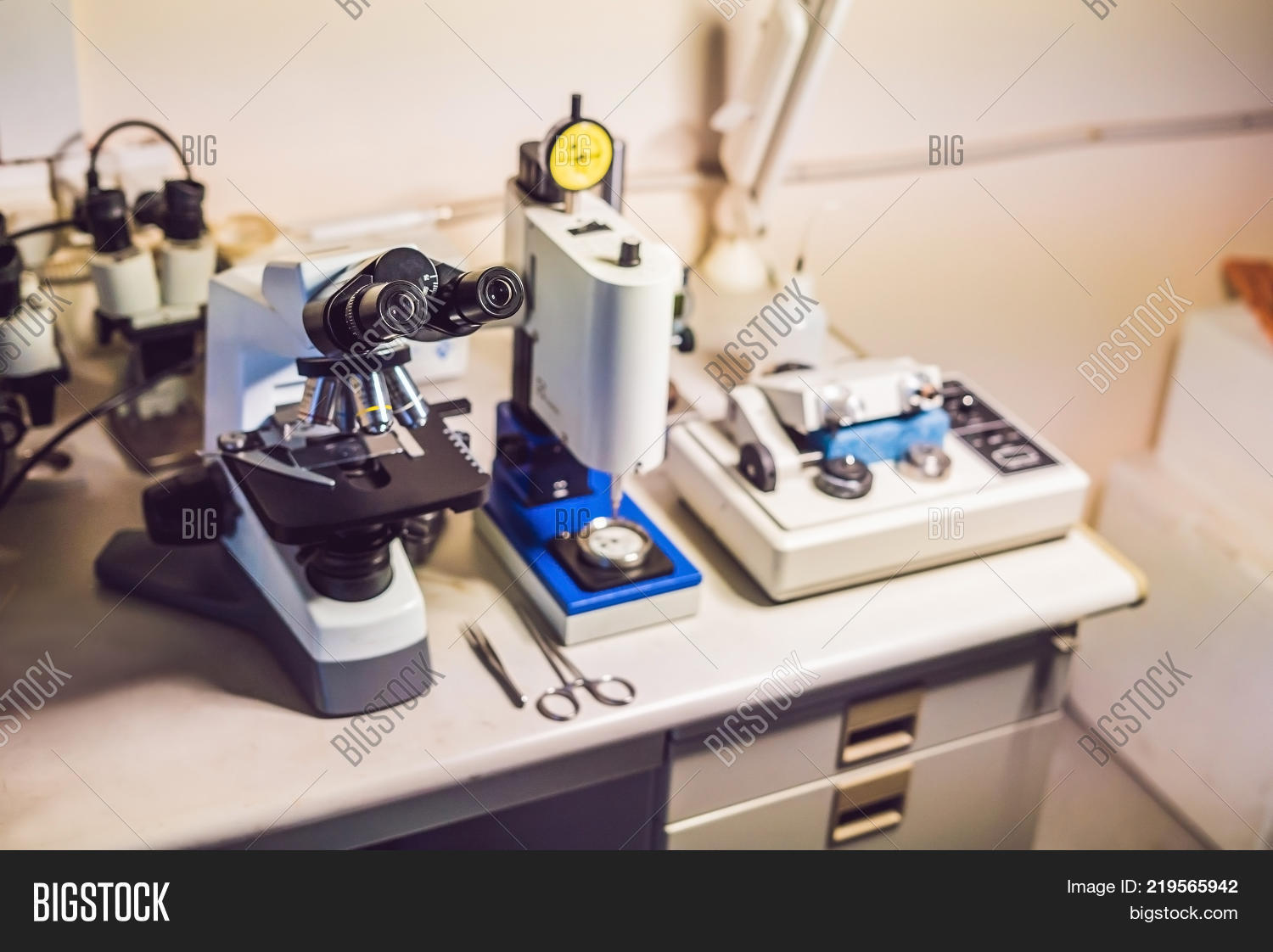 Sample Preparation Image & Photo (Free Trial) | Bigstock