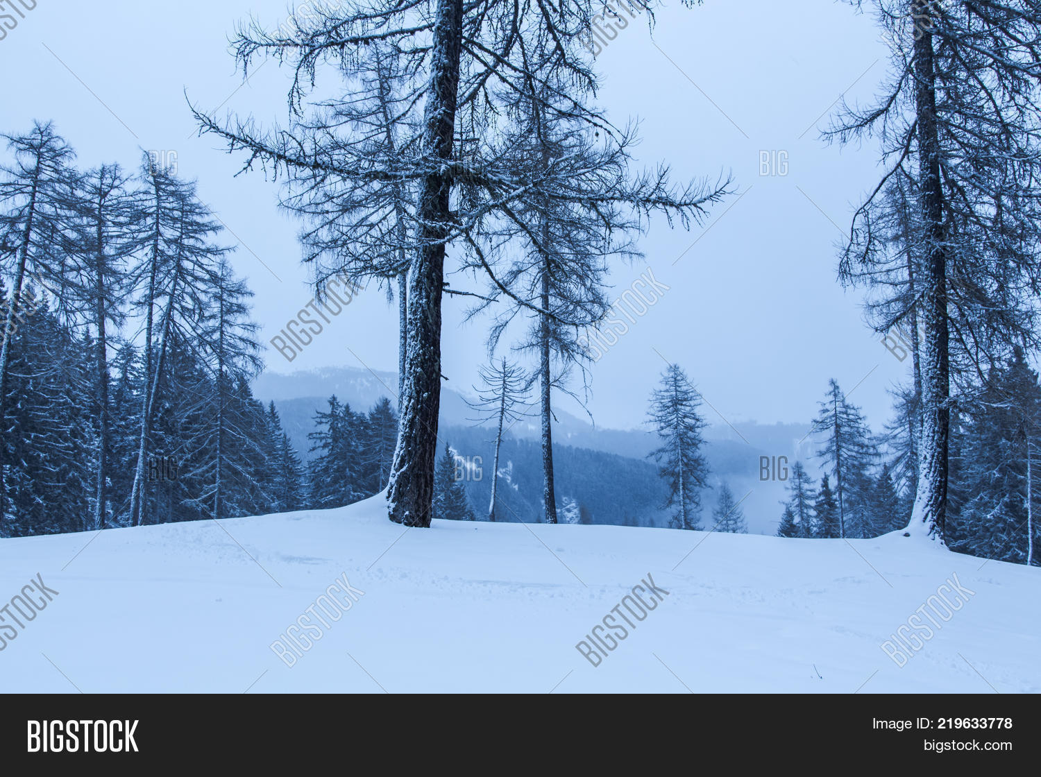 Snowy Foggy Mountain Image & Photo (Free Trial) | Bigstock