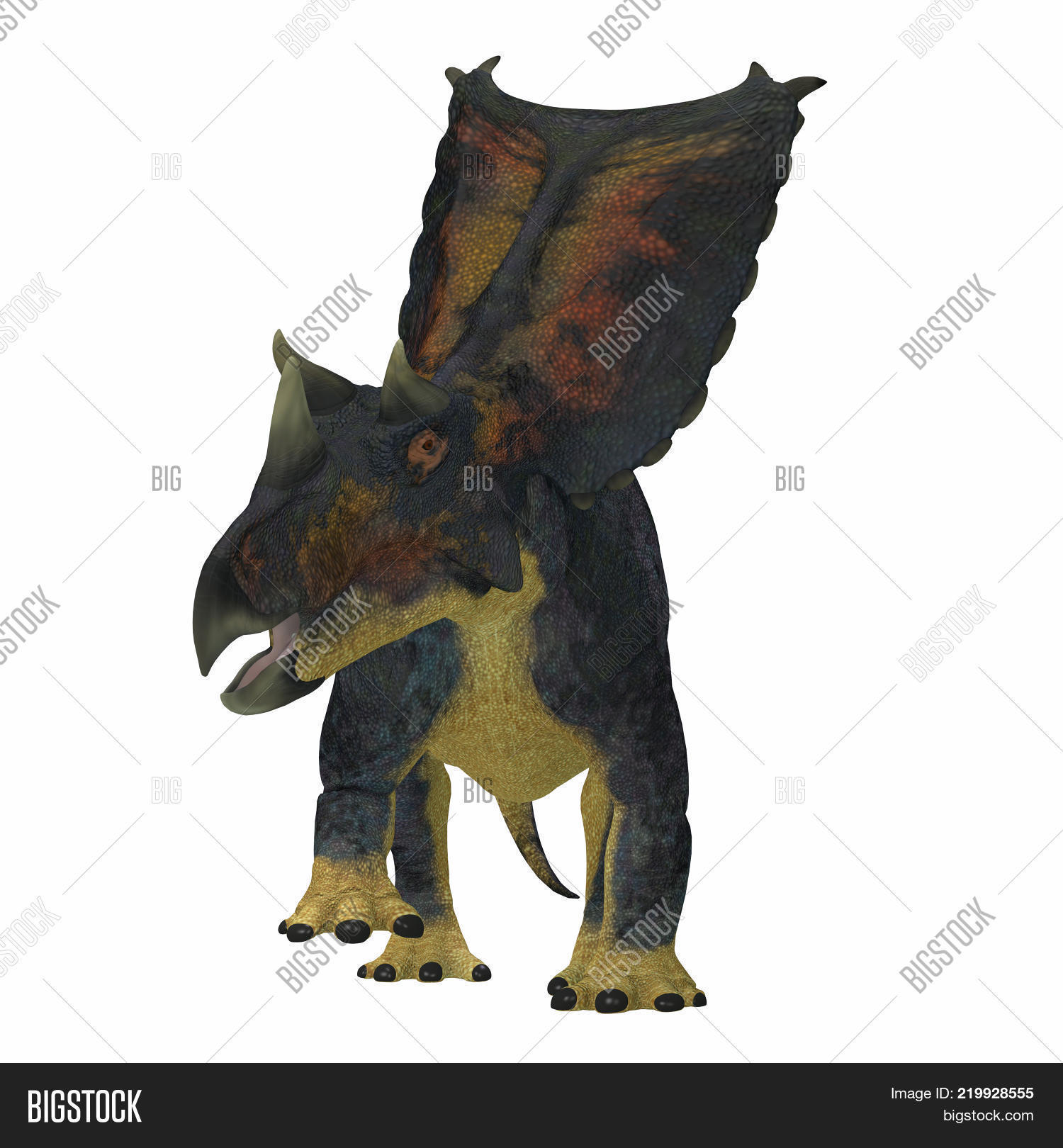 Chasmosaurus Dinosaur Image & Photo (Free Trial) | Bigstock