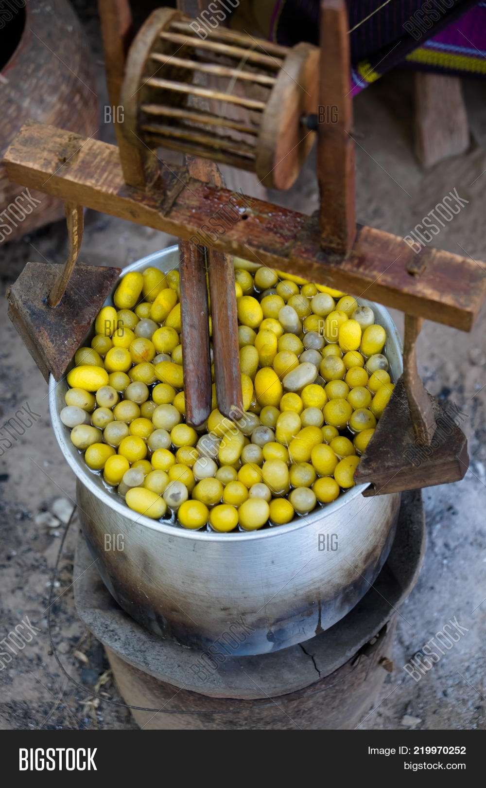 Boiling Cocoon Image & Photo (Free Trial) | Bigstock