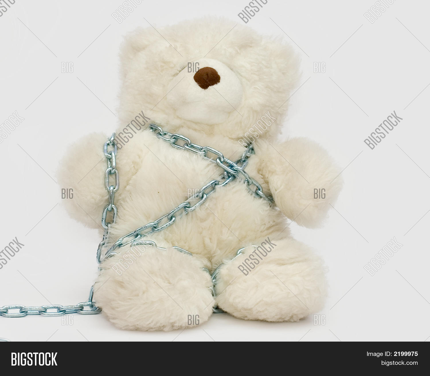 Chained Bear Image & Photo (Free Trial) | Bigstock
