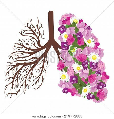 Human Lungs. Vector & Photo (Free Trial) | Bigstock