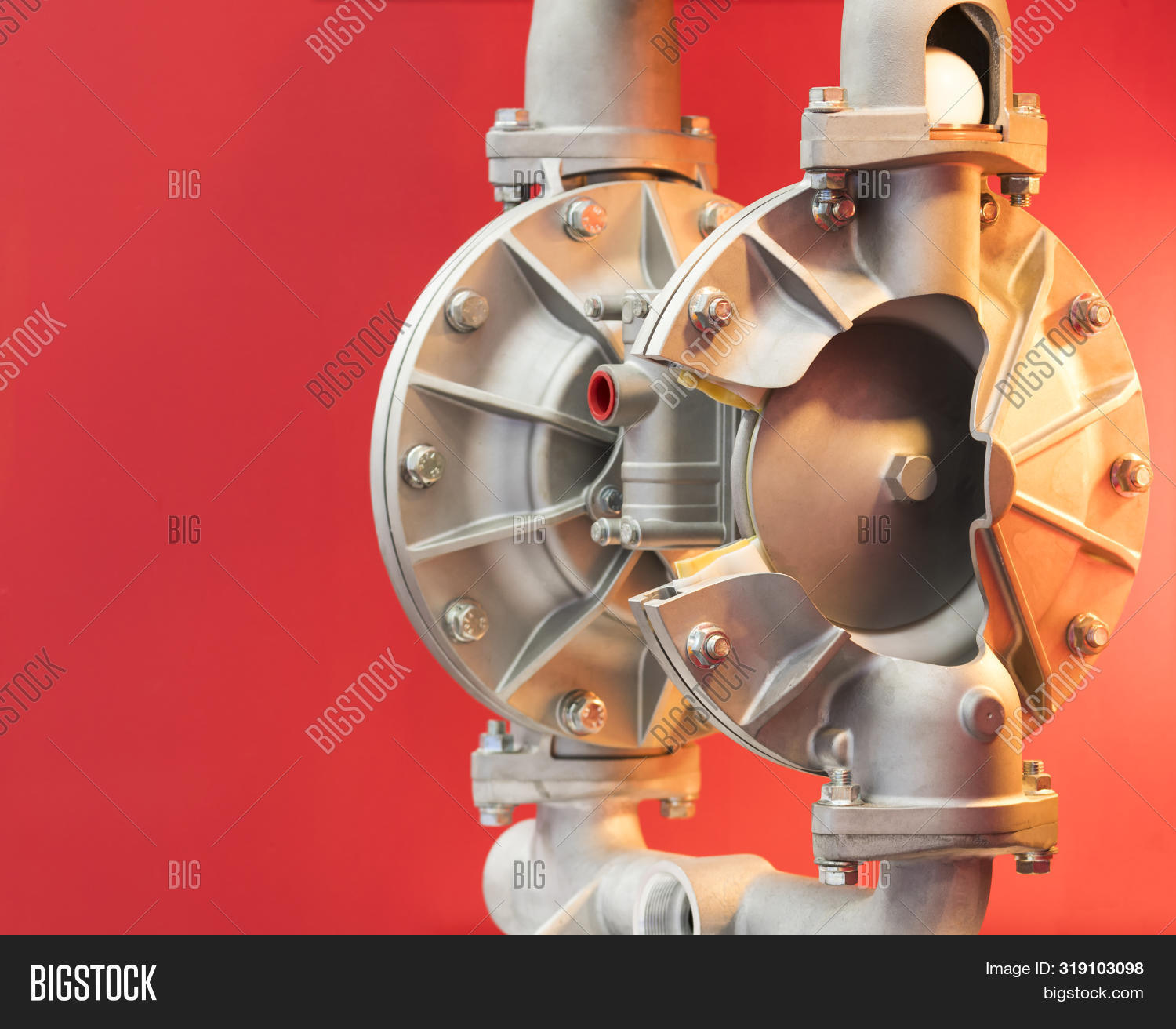 Cross Section Image & Photo (Free Trial) | Bigstock