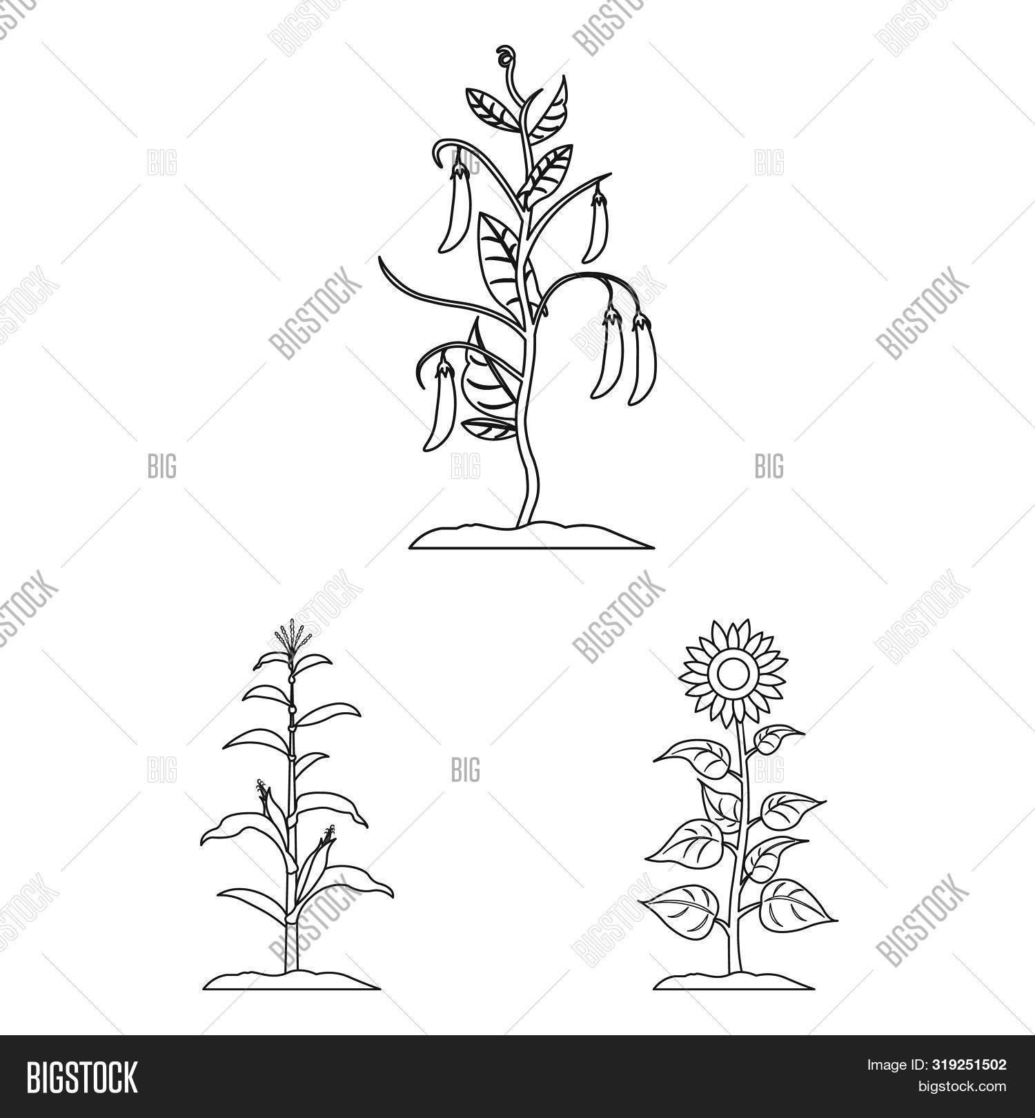 Bitmap Design Plant Image & Photo (Free Trial) | Bigstock