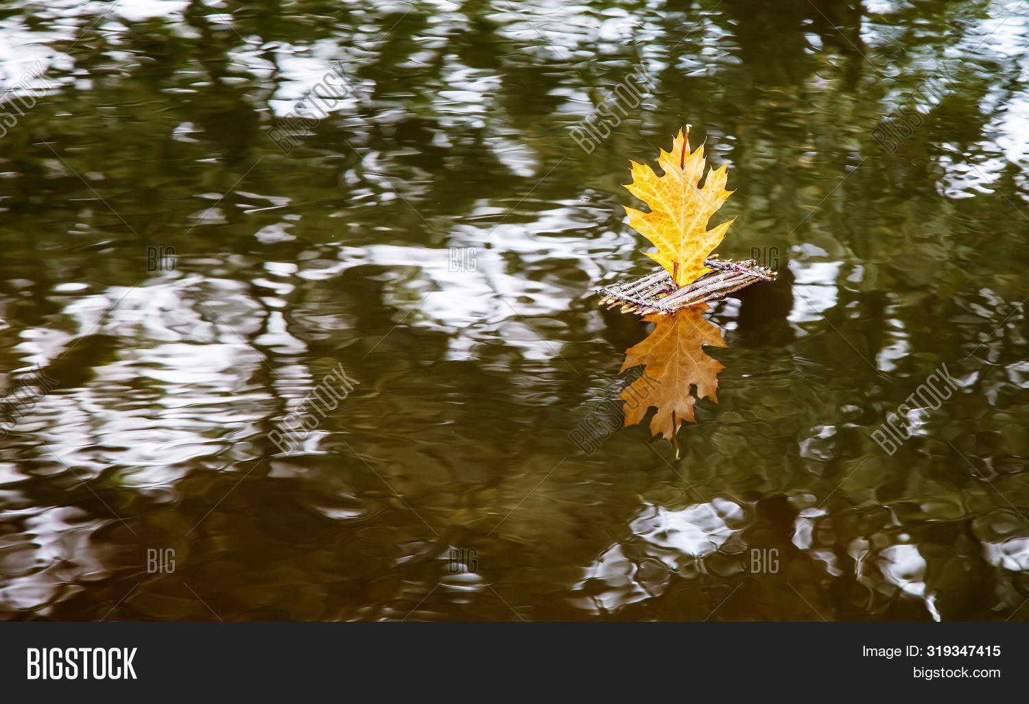 Toy Raft Sail Maple Image & Photo (Free Trial) | Bigstock