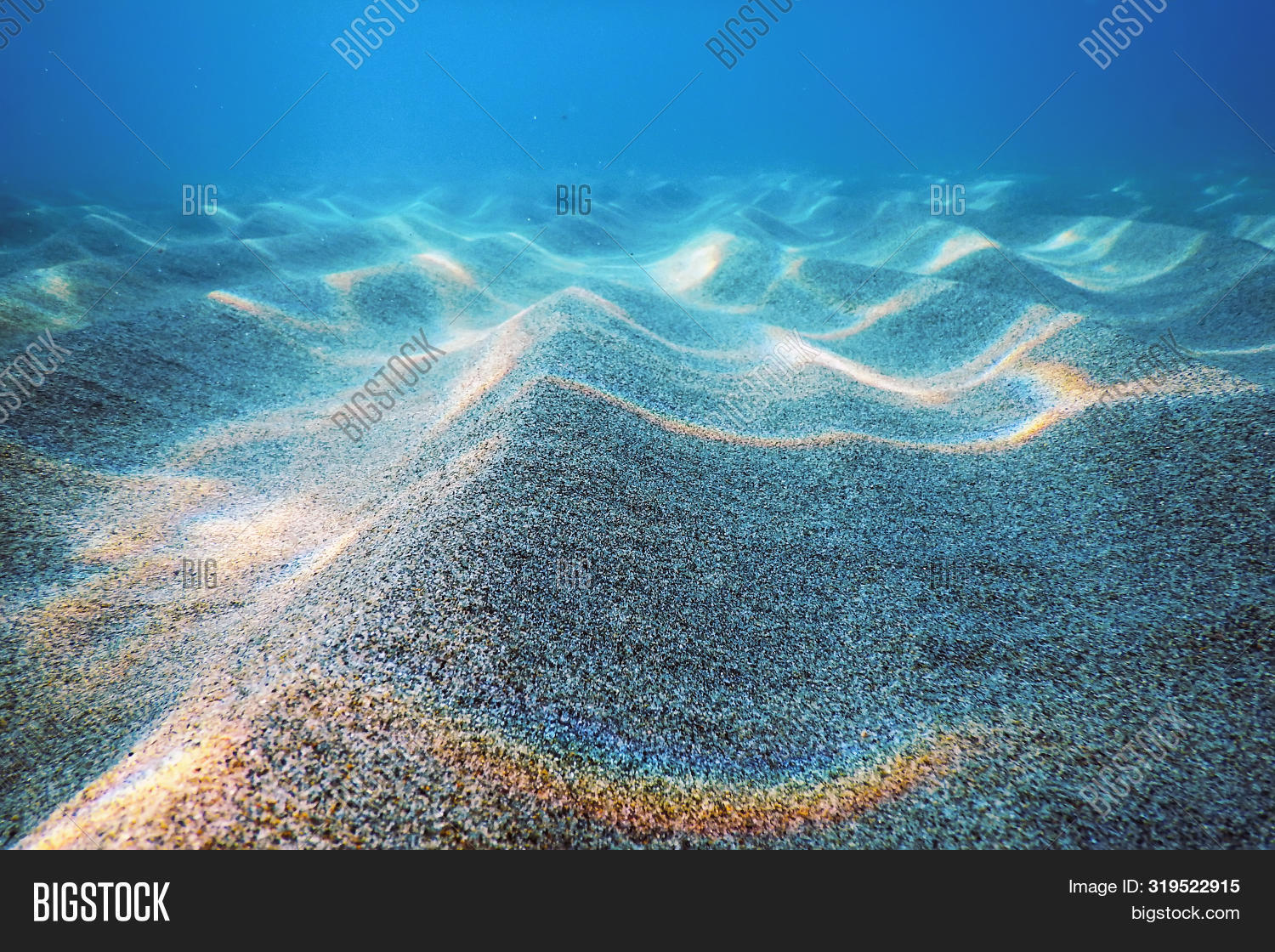 Sandy Sea Bottom Image & Photo (Free Trial) | Bigstock
