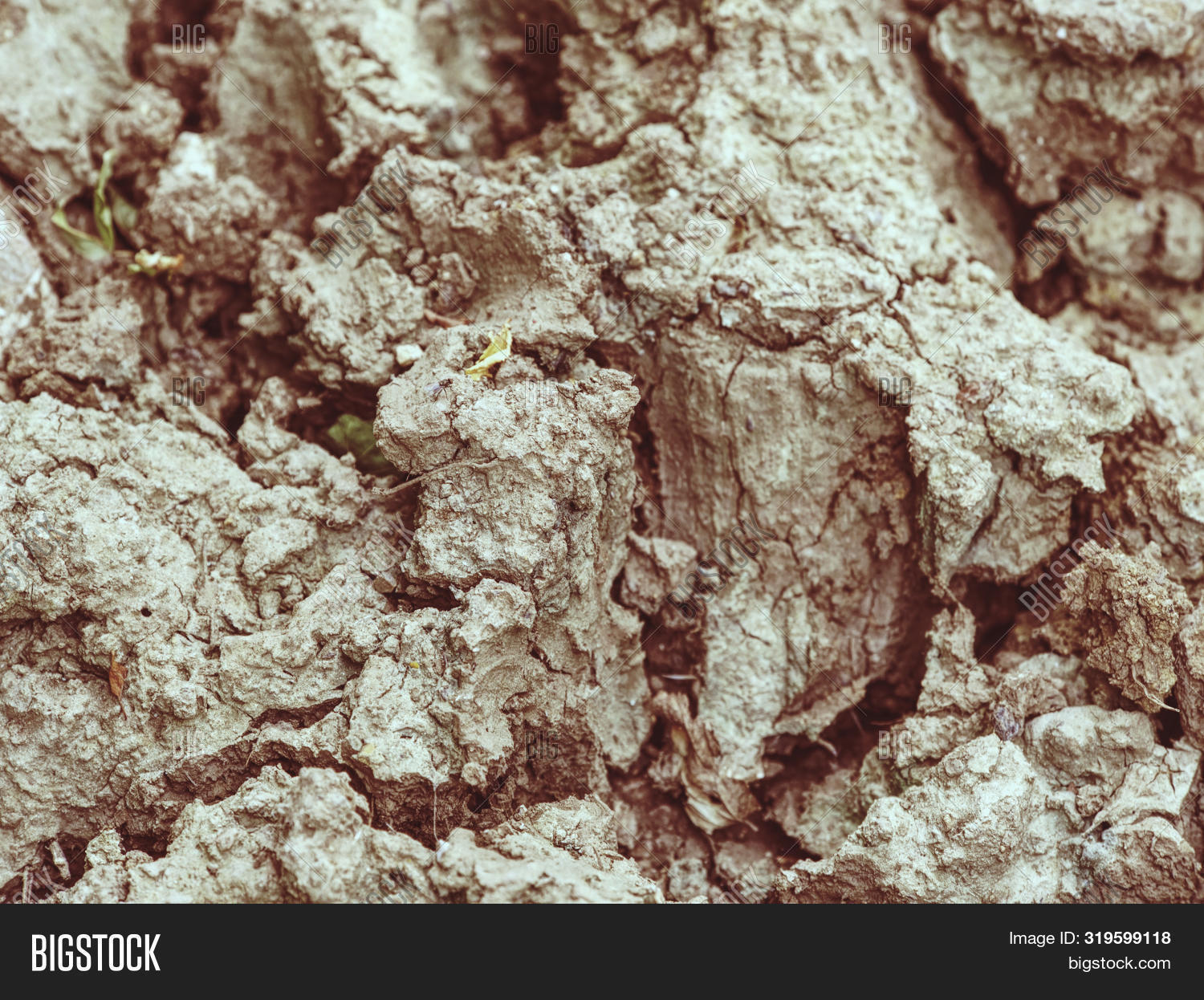 Cracks Salty Mud Above Image & Photo (Free Trial) | Bigstock