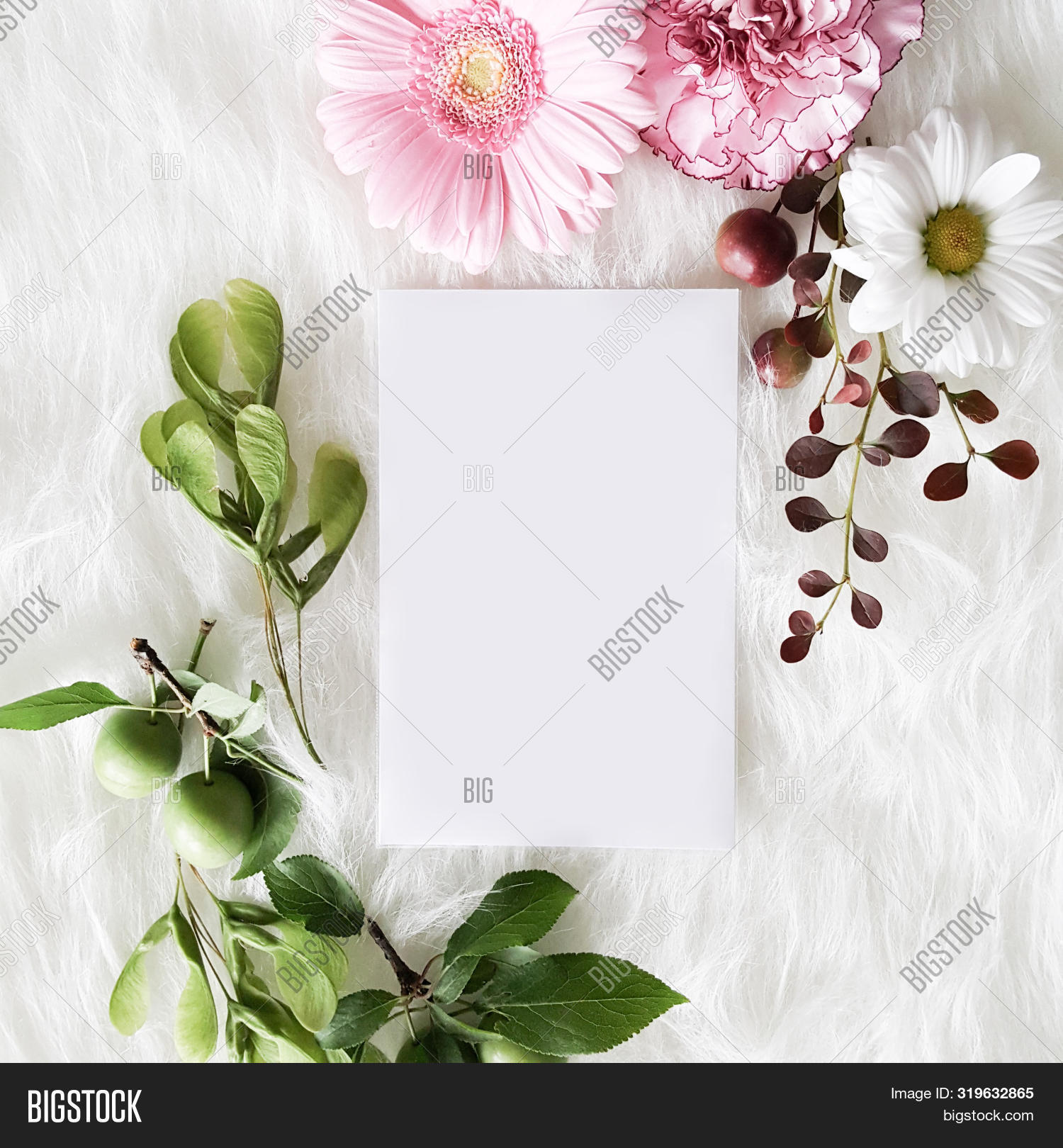 Blank Stickers Sheet Image & Photo (Free Trial) | Bigstock