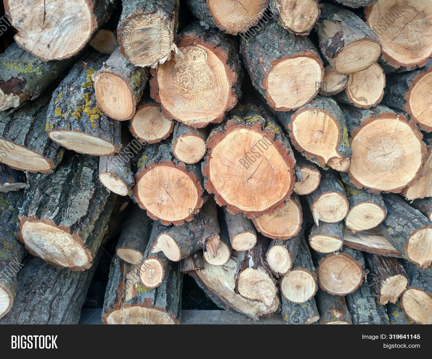 Logs Crosscuts On Image & Photo (Free Trial) | Bigstock