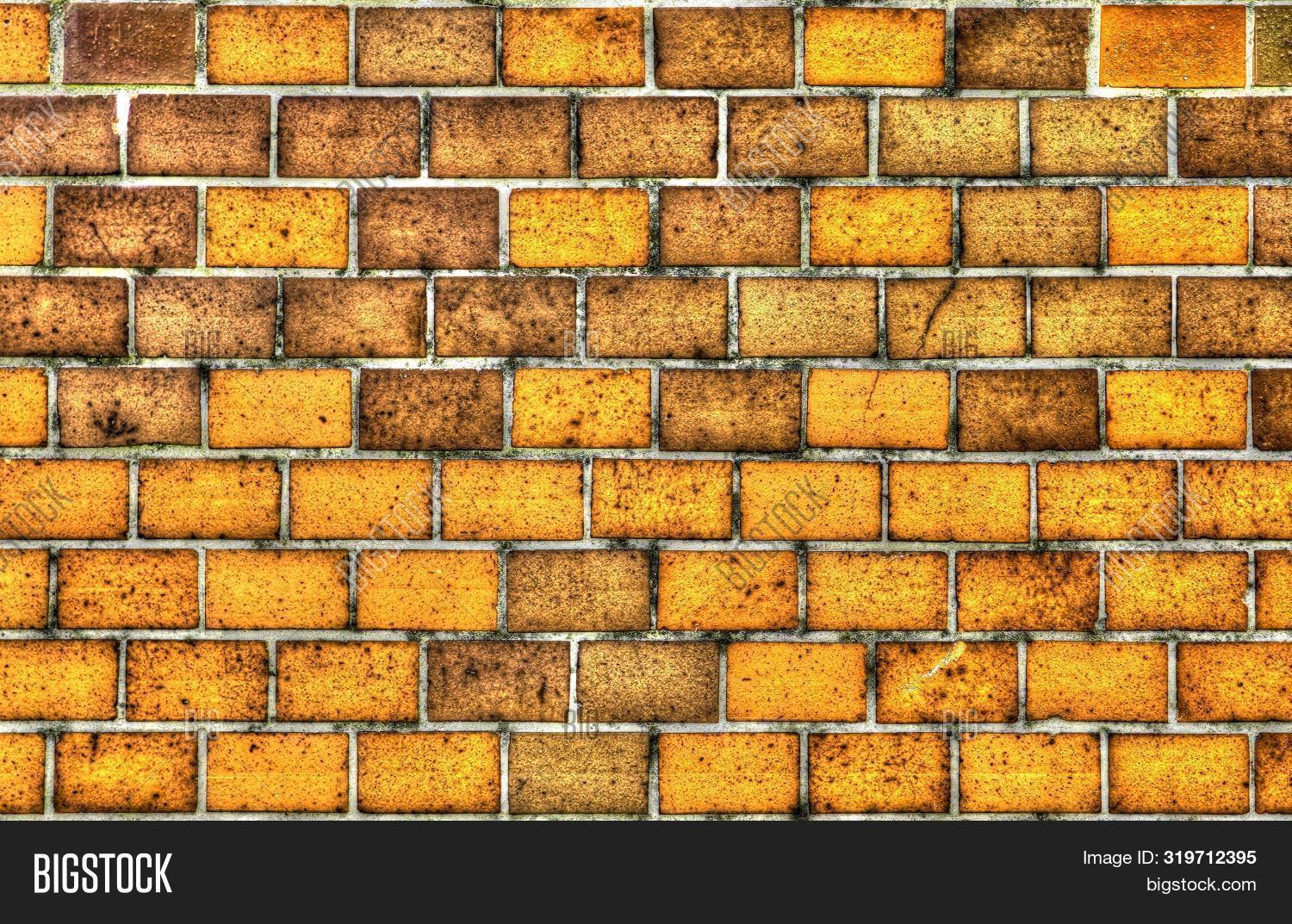 Very Detailed Texture Image & Photo (Free Trial) | Bigstock