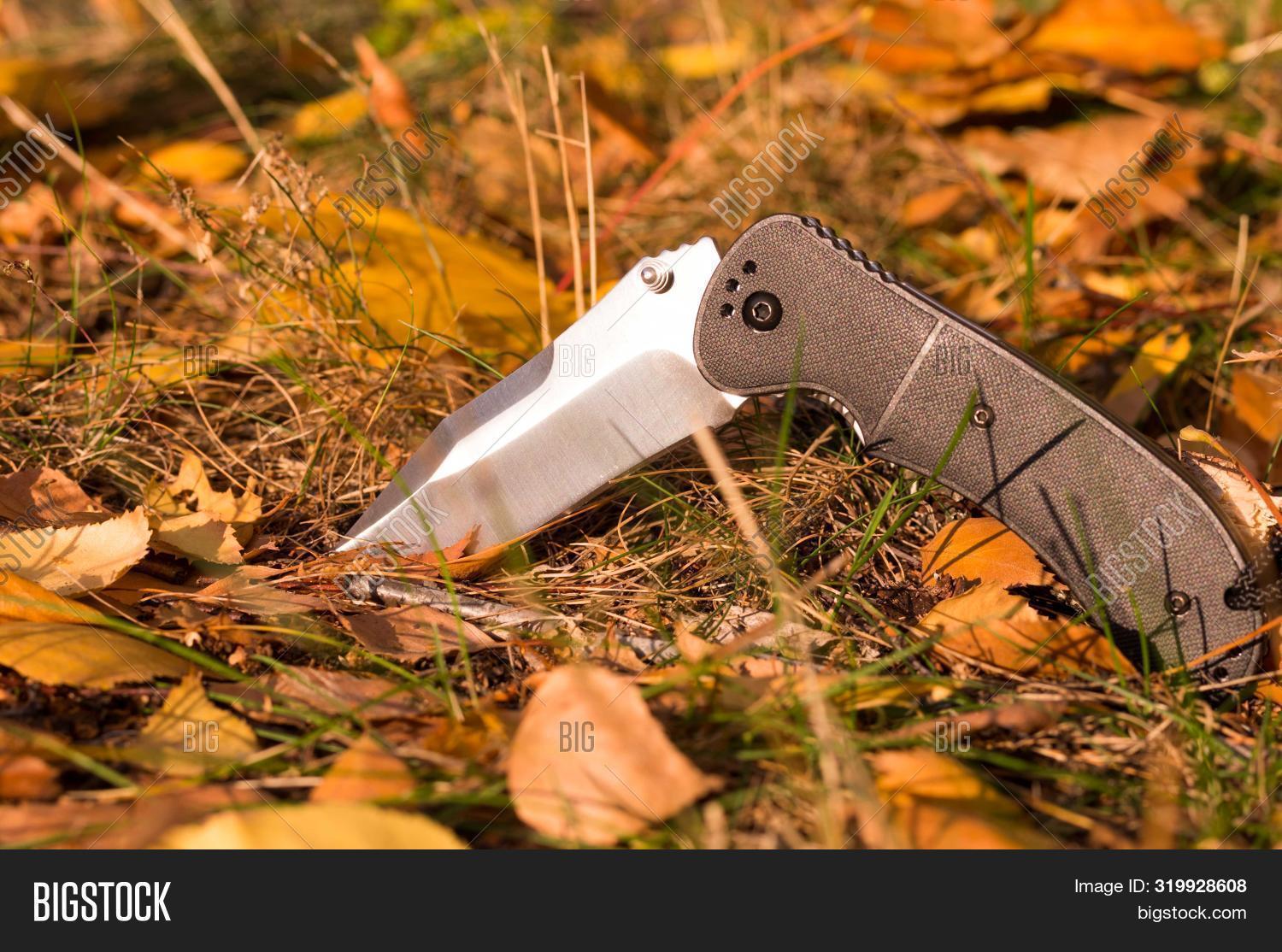Folding Knife Shiny Image & Photo (Free Trial) | Bigstock