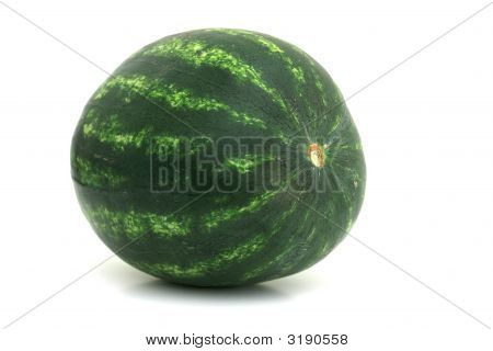 Miniature Watermelon Image & Photo (Free Trial) | Bigstock