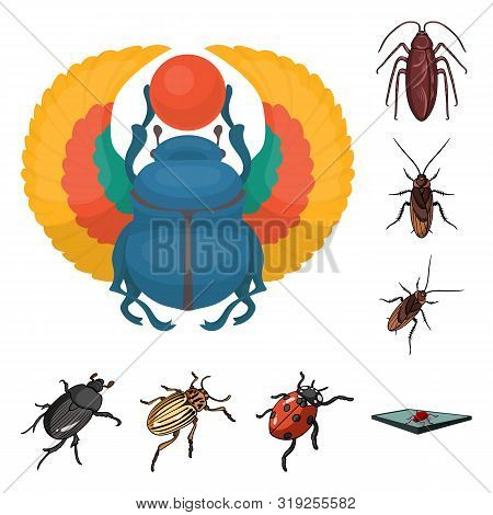 Bitmap Design Insect Image & Photo (Free Trial) | Bigstock
