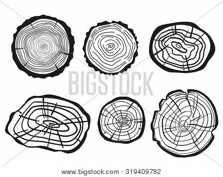 Tree Rings On White. Vector & Photo (Free Trial) | Bigstock