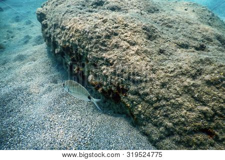 Undersea Rocks Images, Illustrations & Vectors (Free) - Bigstock