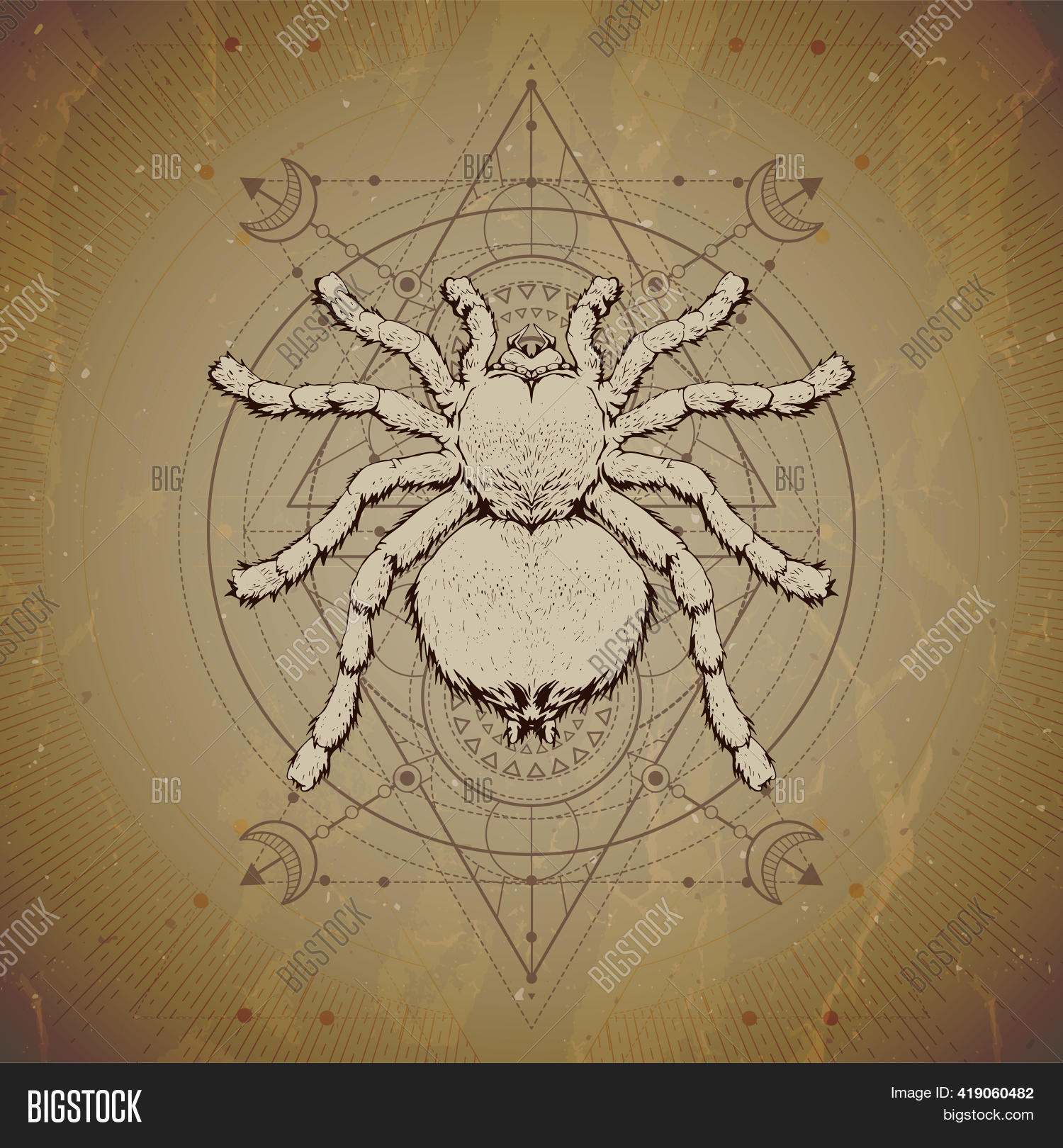 Spider Sacred Image & Photo (Free Trial) | Bigstock