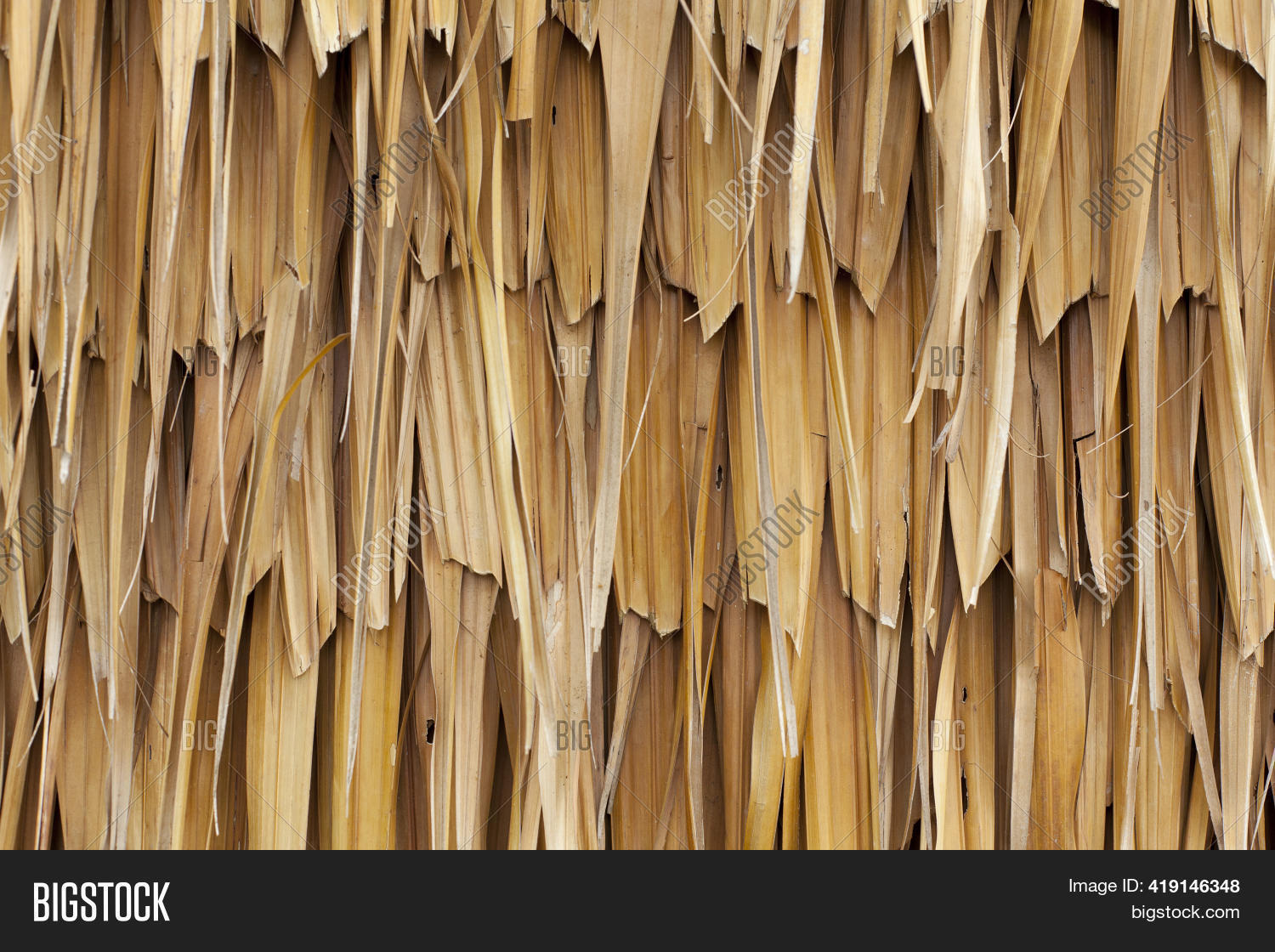 Thatched Wall Image & Photo (Free Trial) | Bigstock