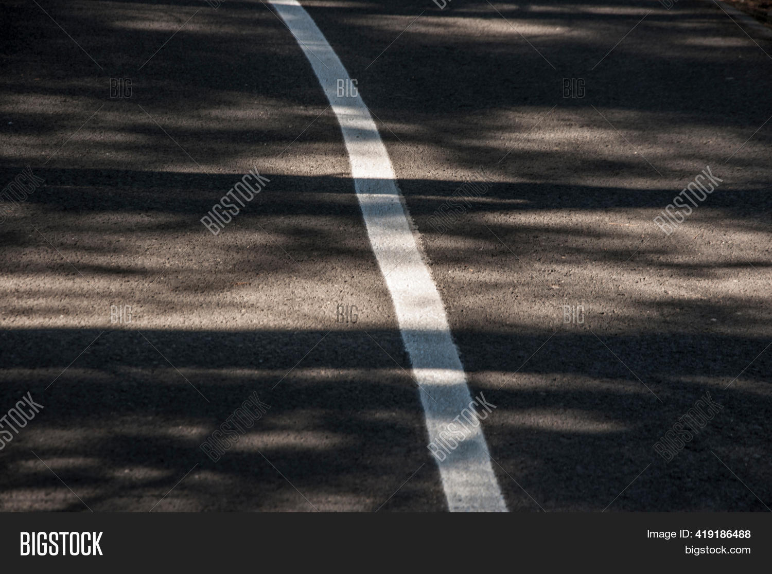 Shadows Trees On Image & Photo (Free Trial) | Bigstock
