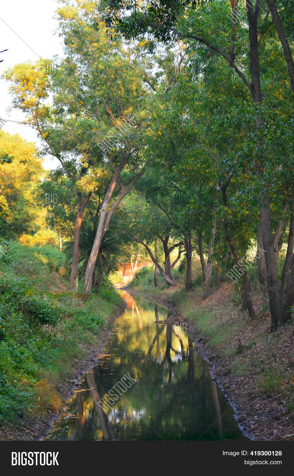 Lake Green Reflection Image & Photo (Free Trial) | Bigstock