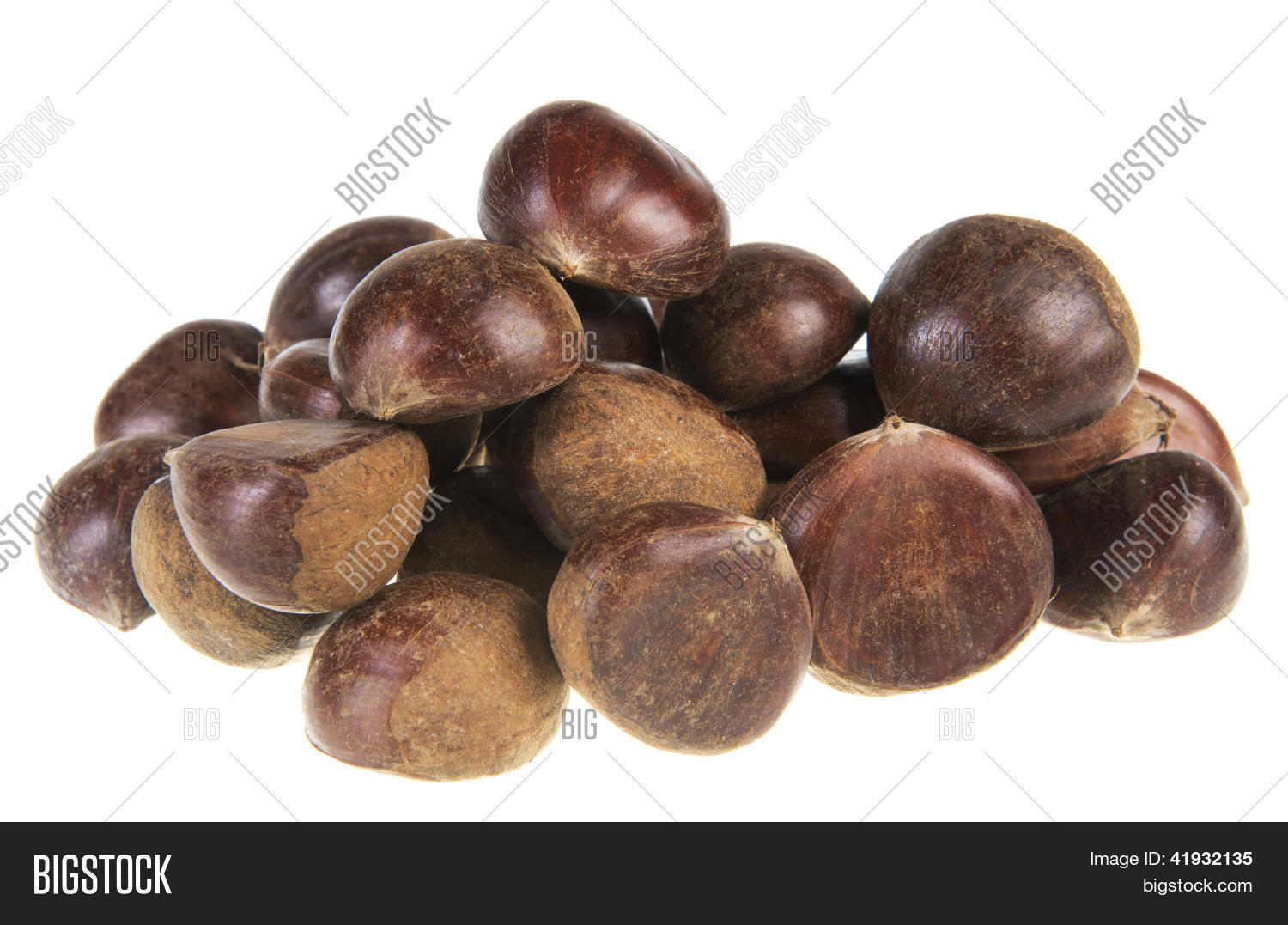 Edible Chestnuts Image & Photo (Free Trial) | Bigstock