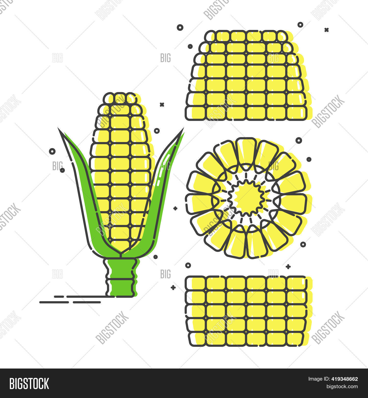 Whole Corn Cobs, Parts Image & Photo (Free Trial) | Bigstock
