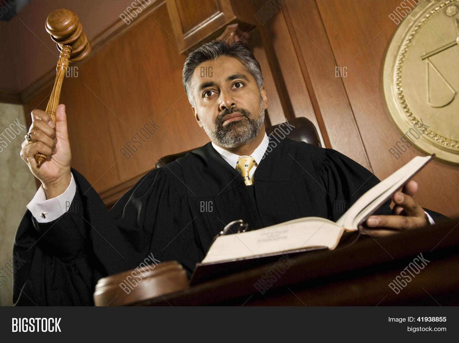 Portrait Judge Image & Photo (Free Trial) | Bigstock