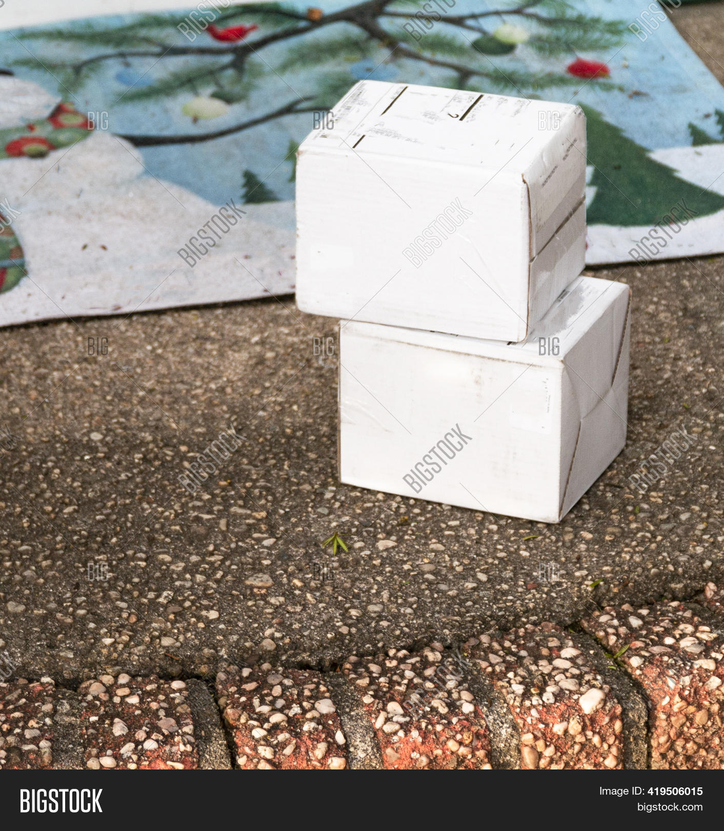 Two Small White Image & Photo (Free Trial) | Bigstock