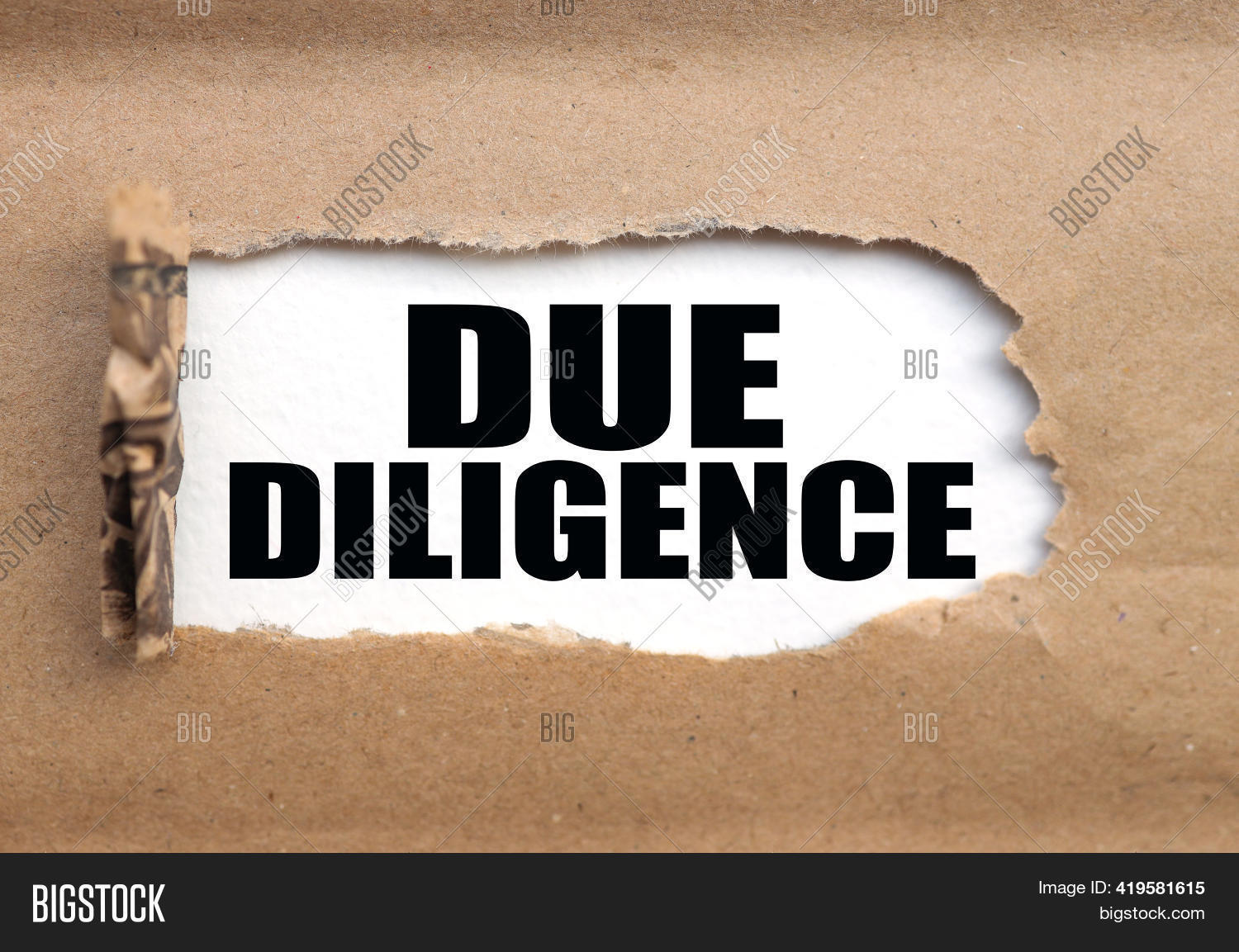 Due Diligence. Text Image & Photo (Free Trial) | Bigstock