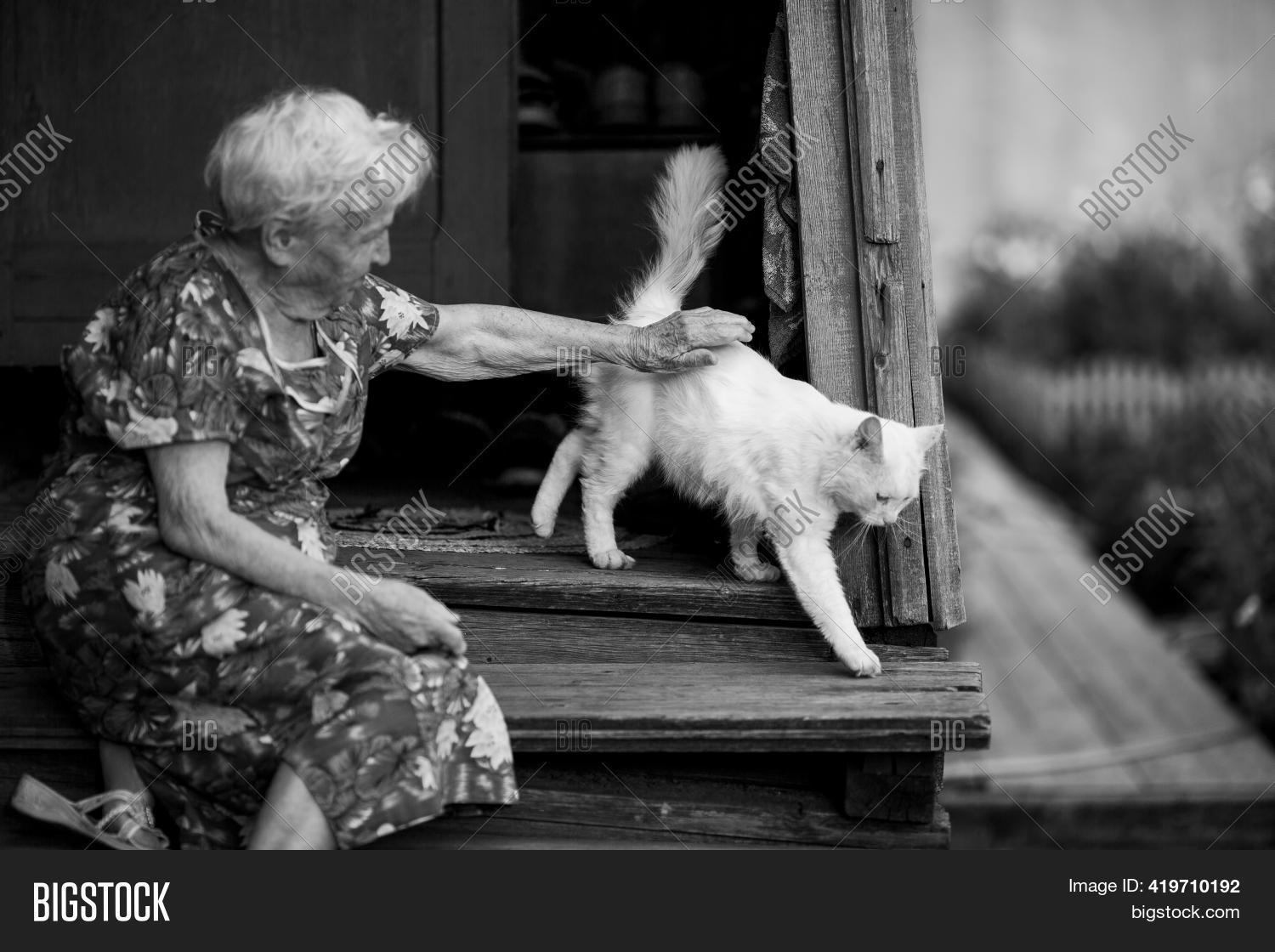 Old Woman Cat Sitting Image & Photo (Free Trial) | Bigstock