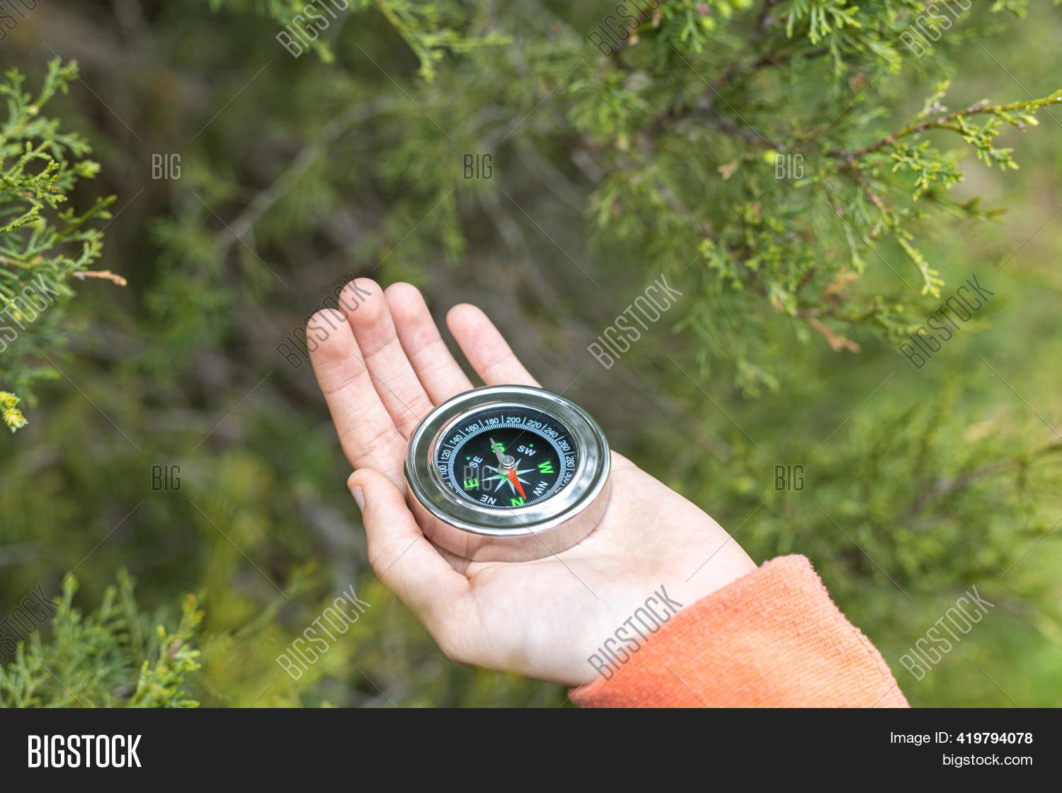 Hand Holding Compass Image & Photo (Free Trial) | Bigstock