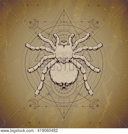 Spider Sacred Image & Photo (Free Trial) | Bigstock
