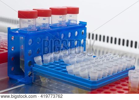 Two Laboratory Racks Image & Photo (Free Trial) | Bigstock