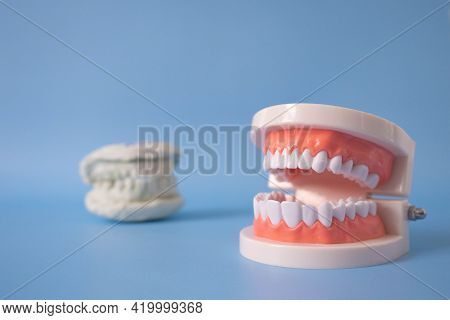 Close Plastic Human Image & Photo (Free Trial) | Bigstock