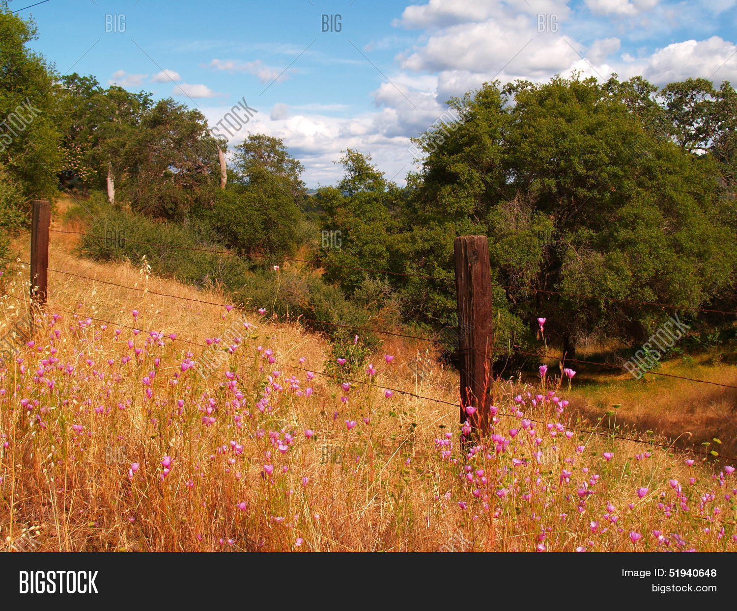 Sierra Foothills Image & Photo (Free Trial) | Bigstock