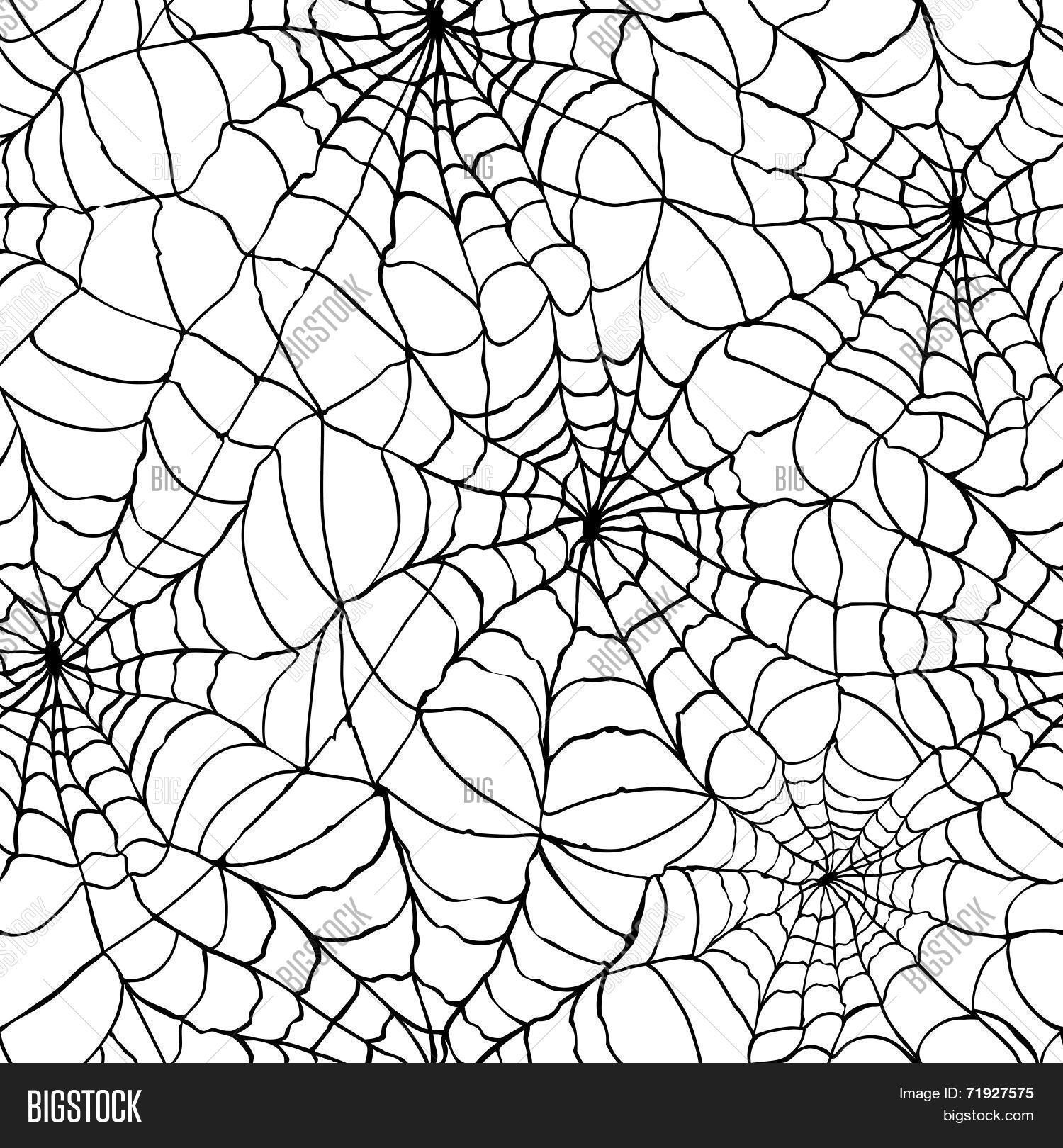 Spider Web Texture Vector & Photo (Free Trial) | Bigstock