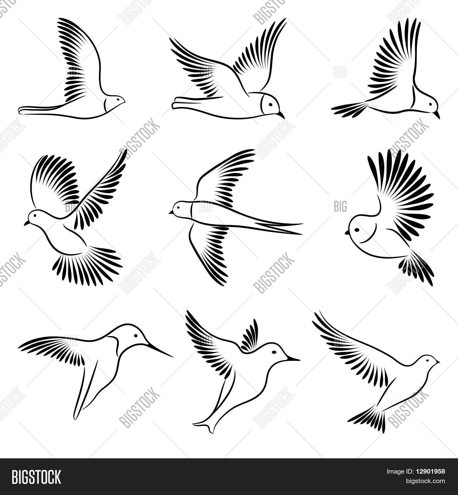 Birds. Vector Vector & Photo (Free Trial) | Bigstock
