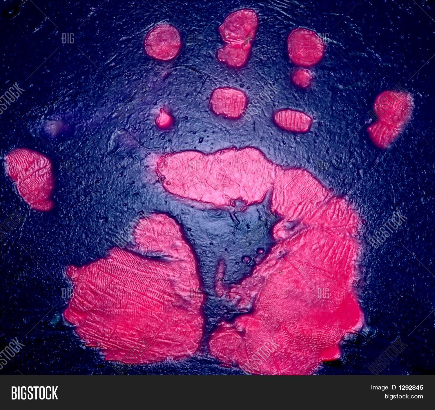 Full Hand Print - Heat Image & Photo (Free Trial) | Bigstock